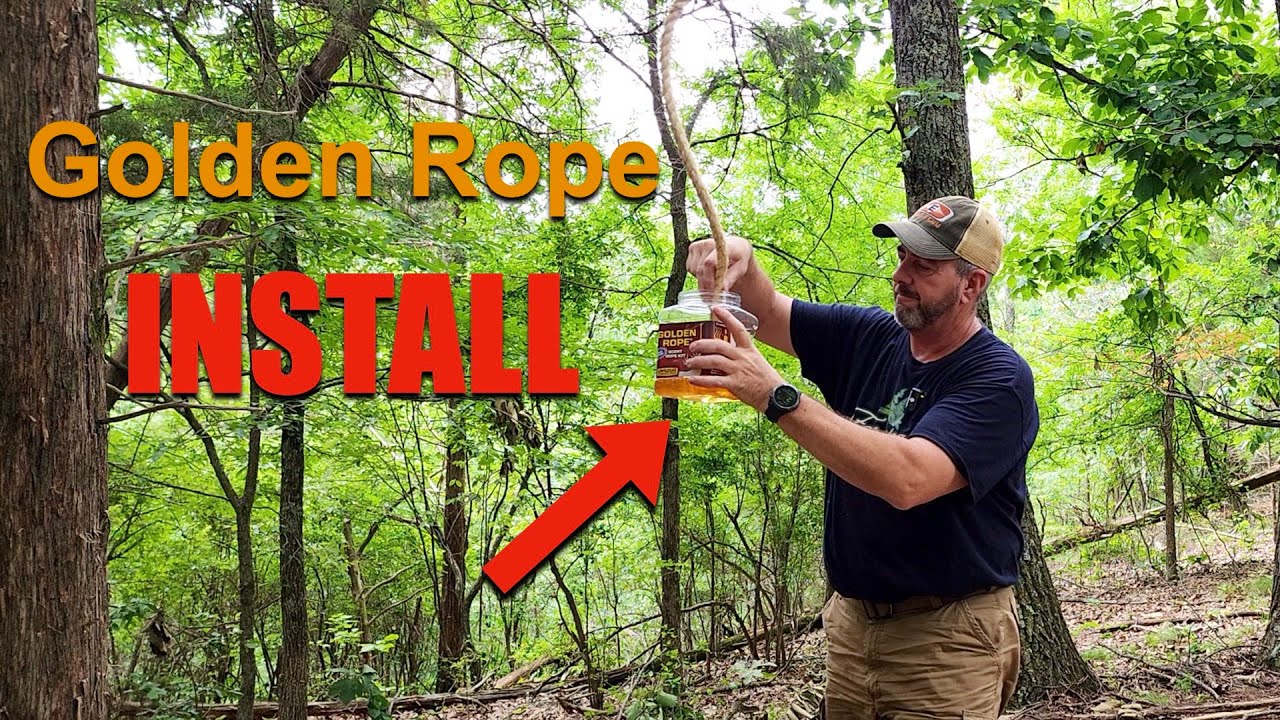 Mastering Deer Attraction: Installing the Wildlife Research Center ...