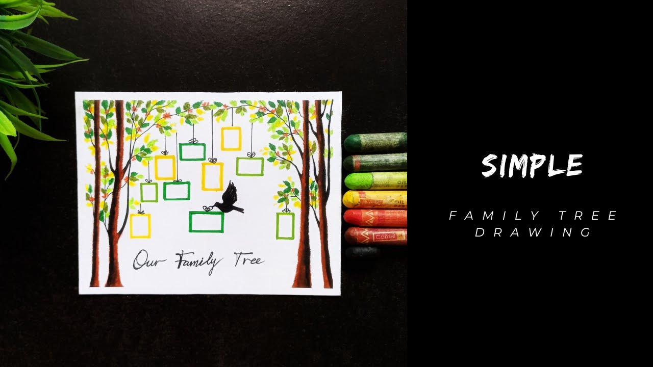 Family tree drawing step by step/ Family Tree Drawing - YouTube
