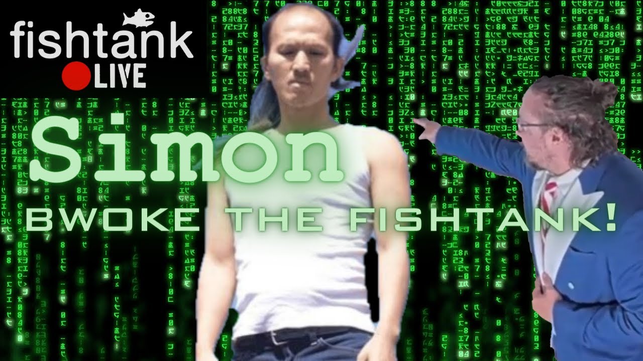 Simon Bwoke The Fishtank! - (Fishtank.live) fishtank live recap - YouTube