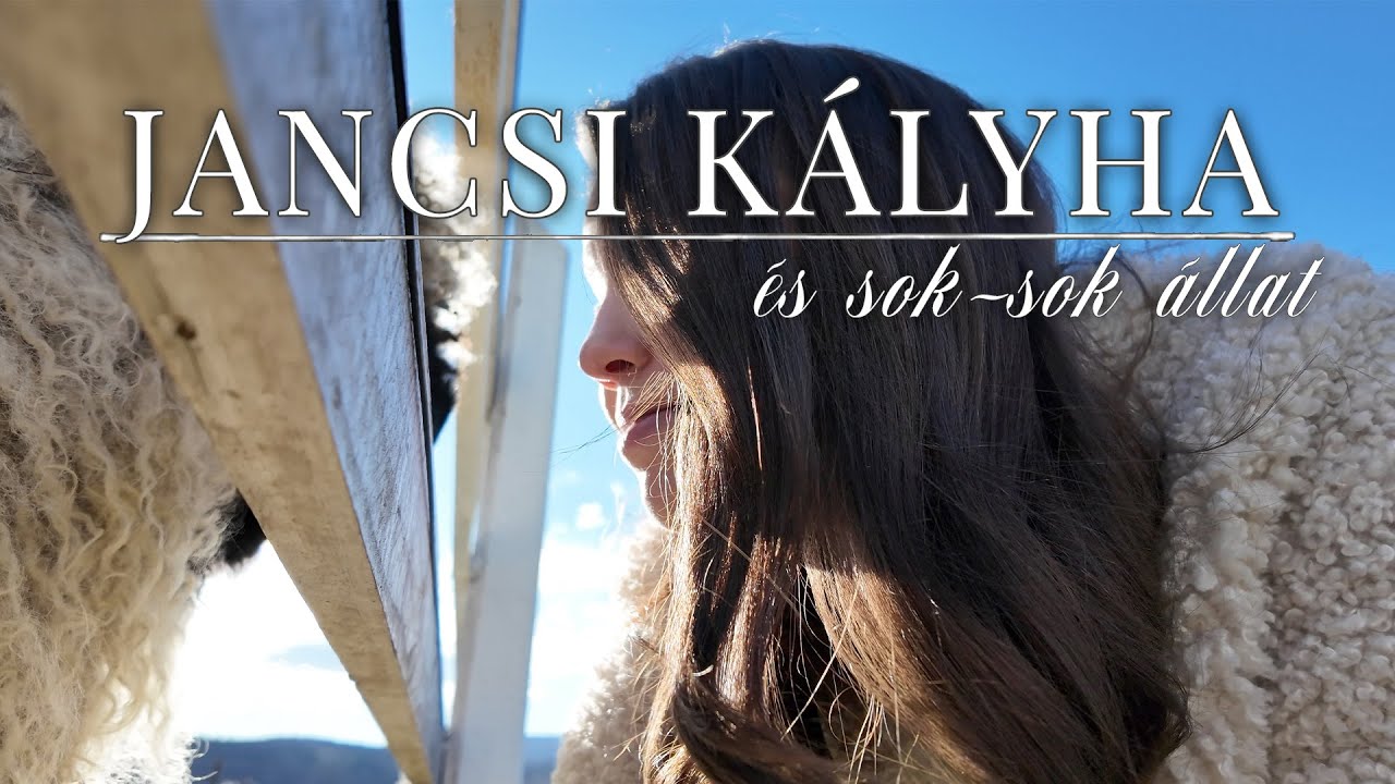 Ottalvós buli Szentendrén és reggeli farm pillanatok | Molnár Miléna ...