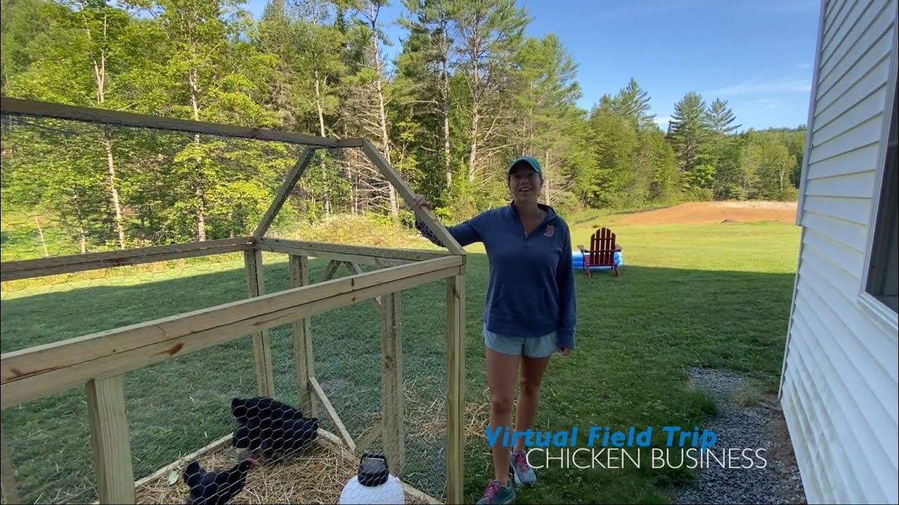 Virtual Field Trip - Chicken & Nutrients - YouTube