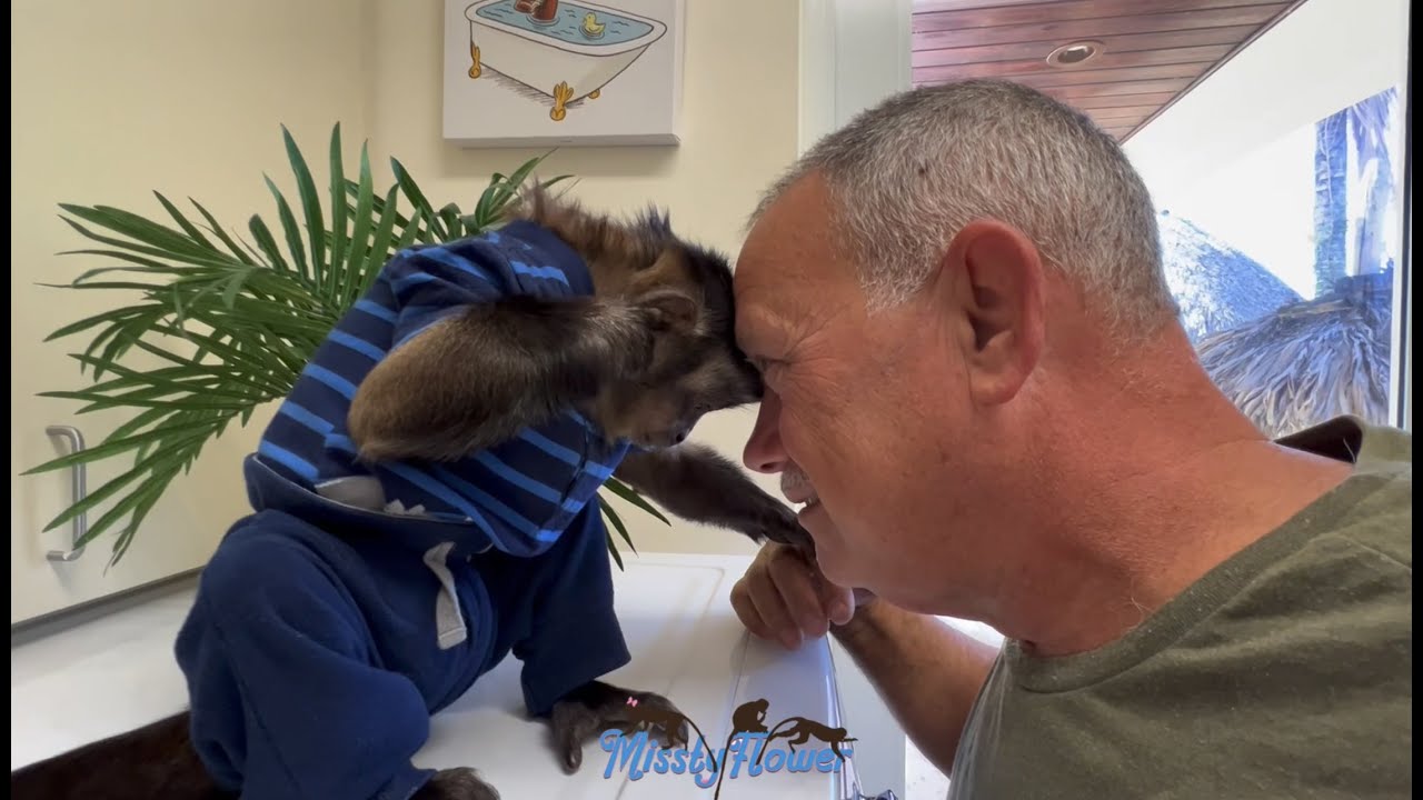 Our Monkey Russel plays with papa! ️ ️ ️ - YouTube