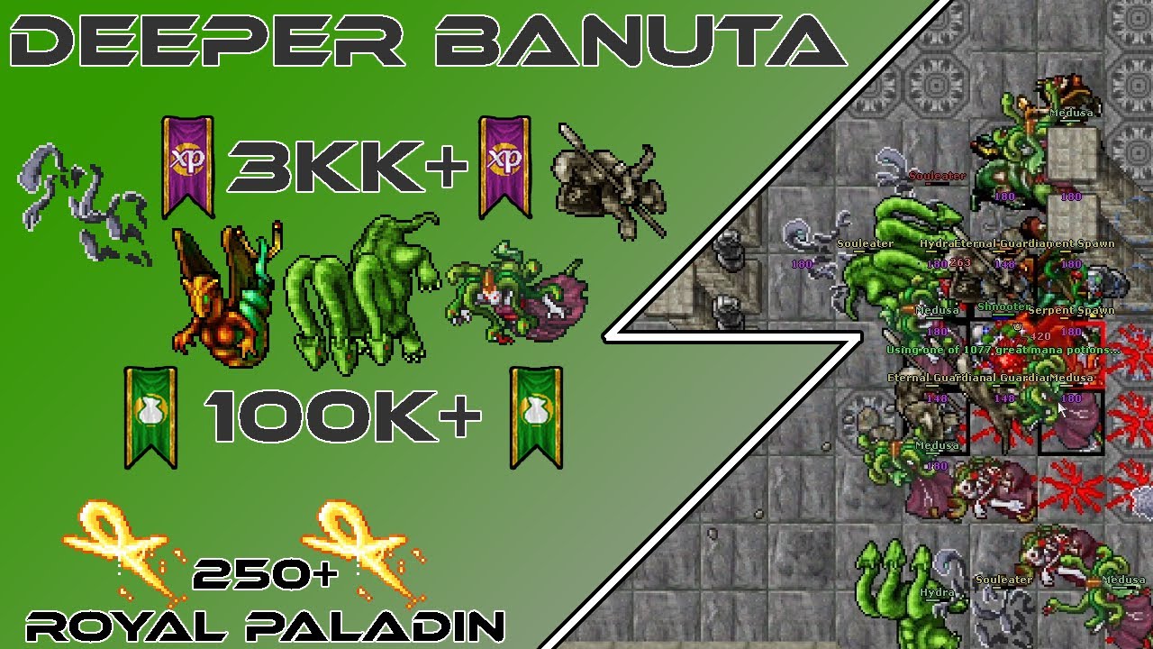 [Tibia Hunting Guide] 250+ RP - Deeper Banuta - YouTube