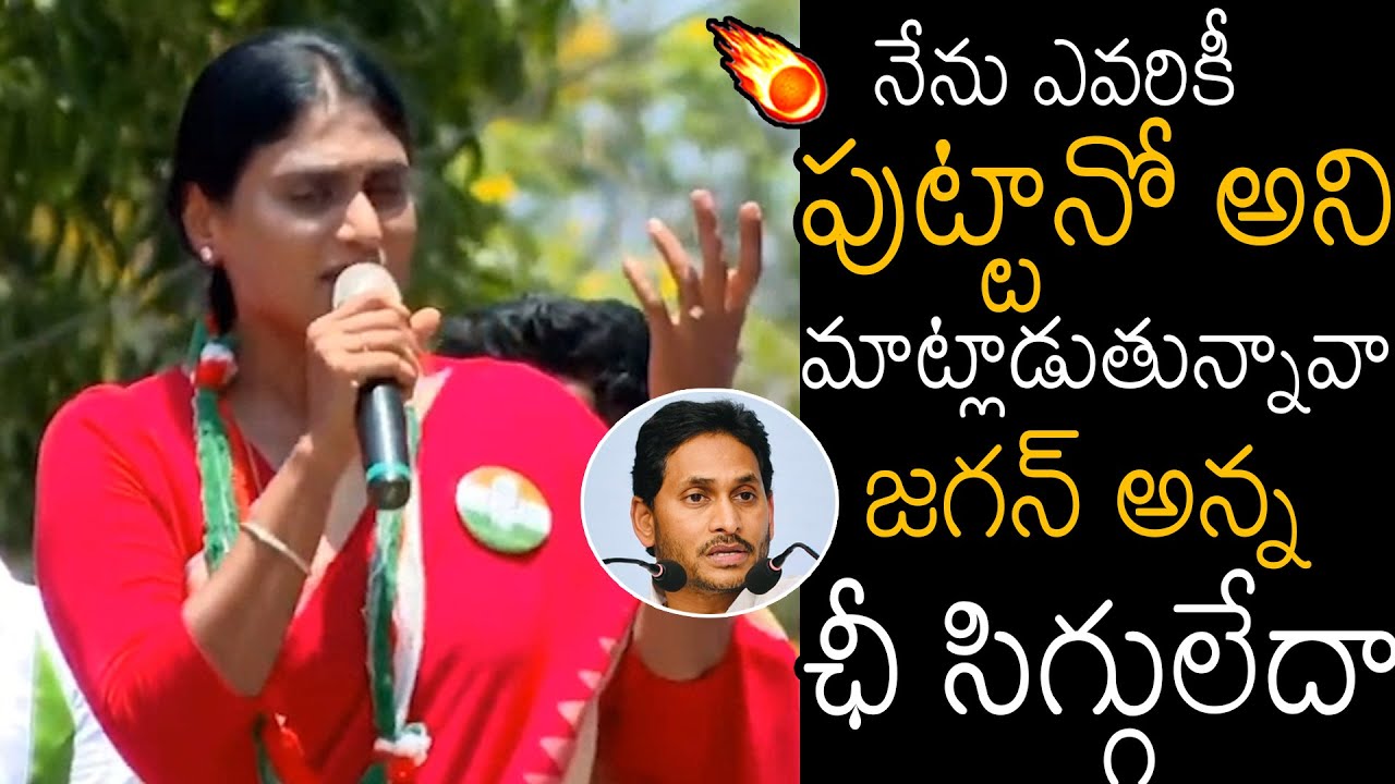 YS Sharmila Socking Comments On Her Brother YS Jagan | YS Rajasekhar ...