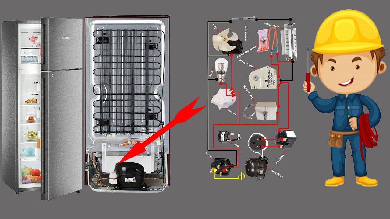 Fridge Inside Wiring diagram, single door, Non Frost - YouTube