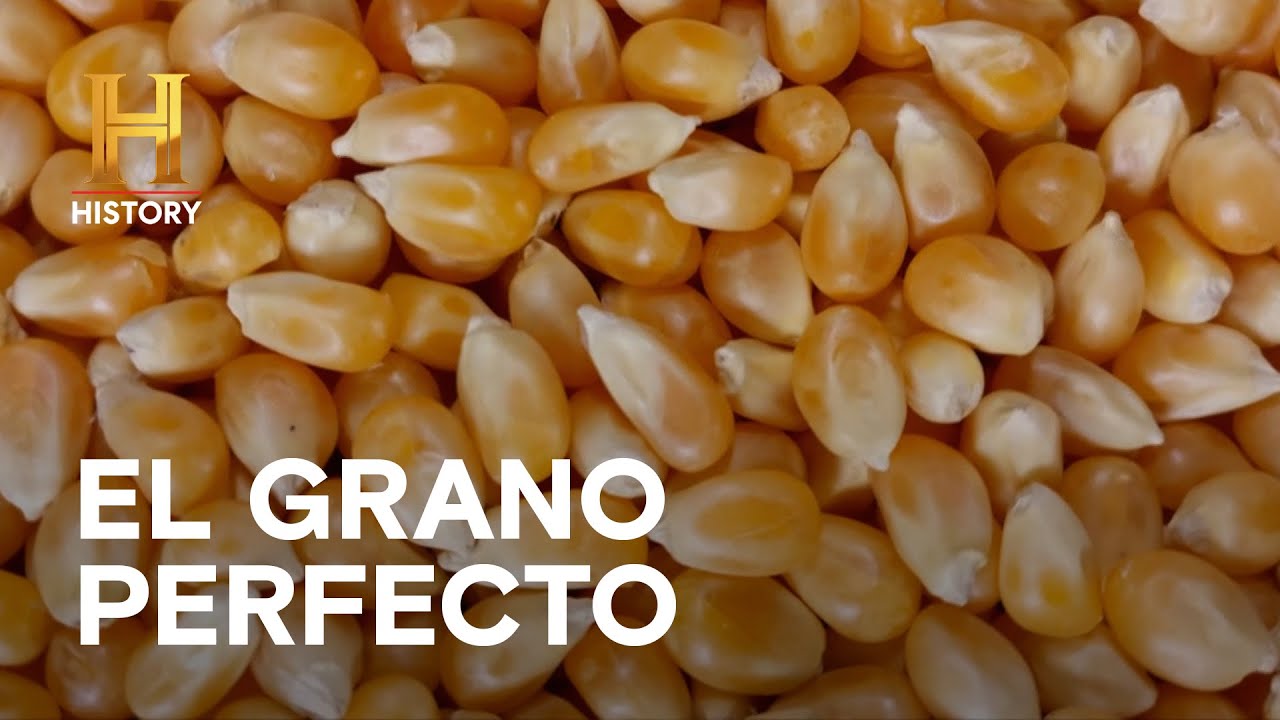 👀 El Snack MAS POPULAR del mundo 😨- GIGANTES DE LA COMIDA - History ...
