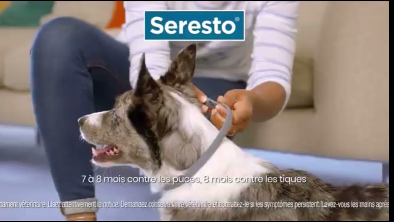 Voix Campagne Pub Seresto by Laurent Morhain Solal - YouTube