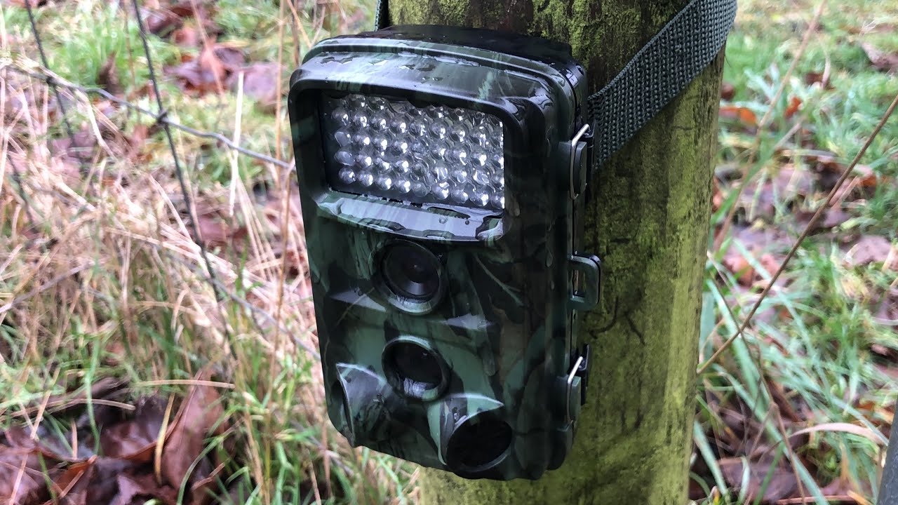 TECH.BEAN Trail camera Review Unboxing and Animal Videos - YouTube