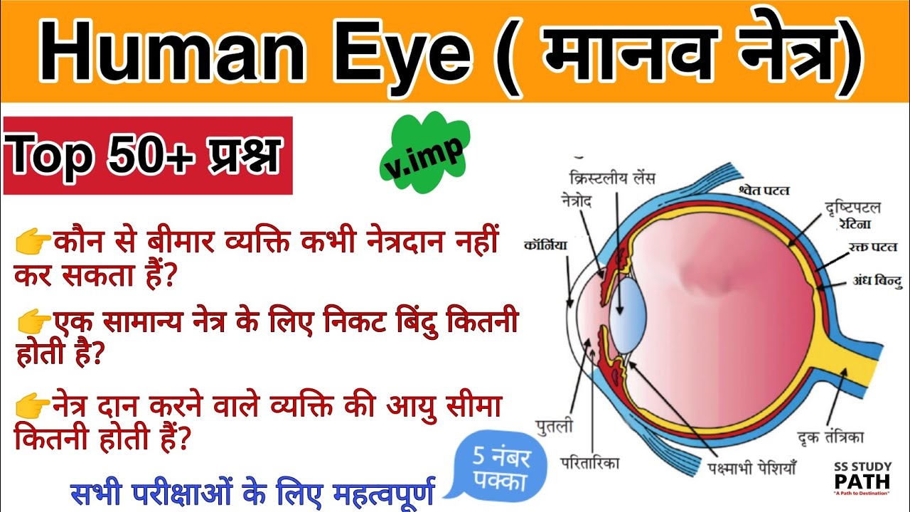Biology: Human Eye l मानव नेत्र से संबंधित महत्वपूर्ण प्रश्न l manav ...