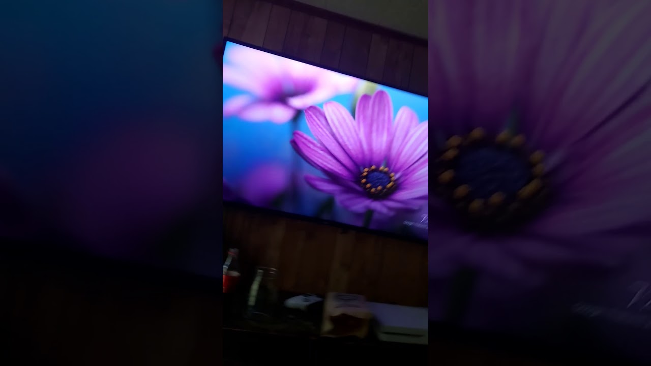 The Size Of My Tv YouTube the-size-of-my-tv-youtube