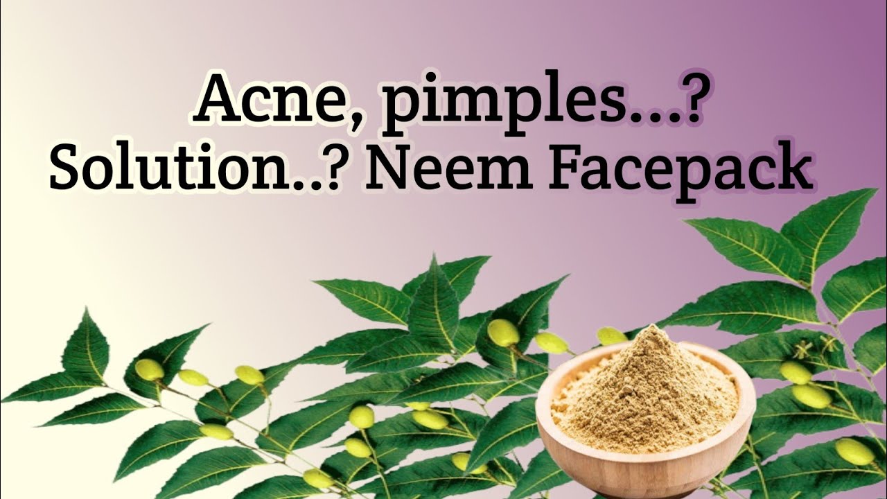 DIY Neem Facepack for pimples, acne & breakouts. 💯% natural n effective ...