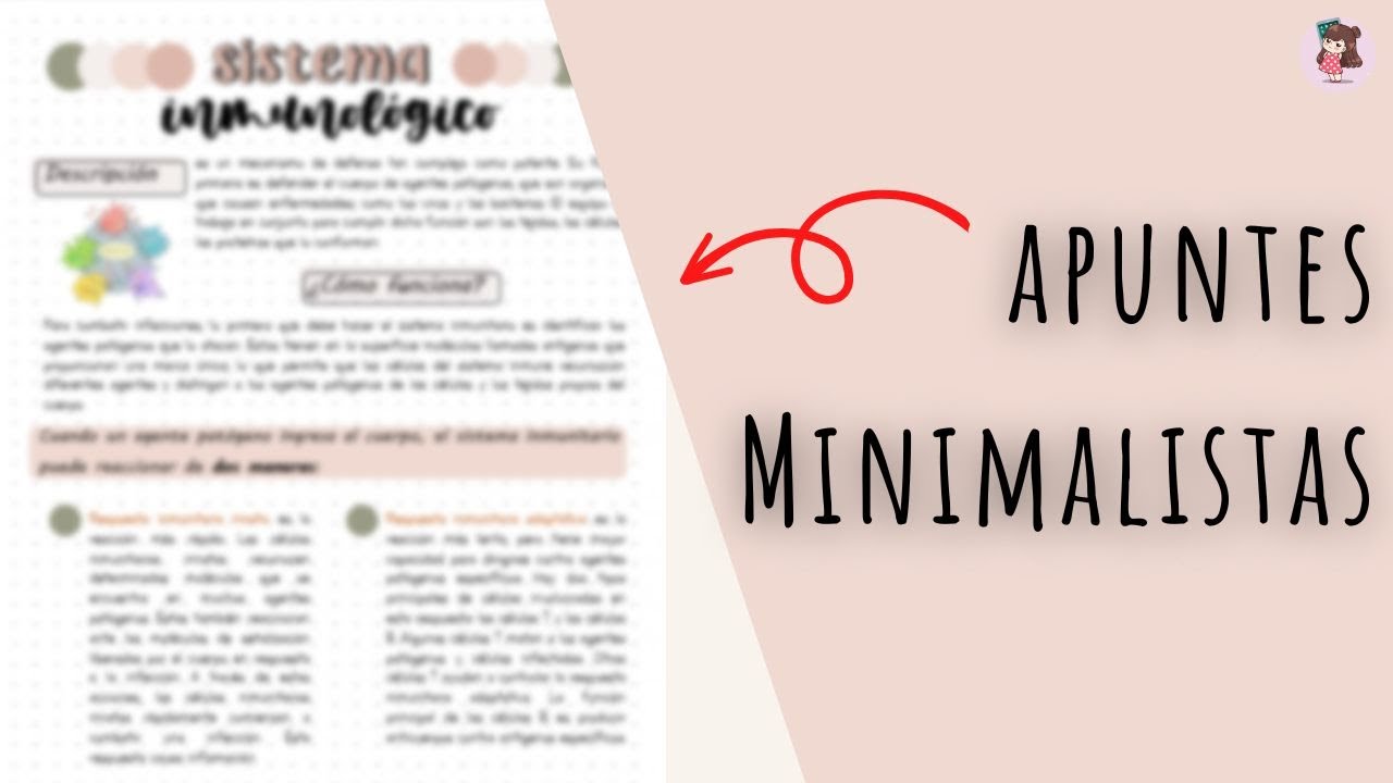 🌟 Como hacer apuntes bonitos en word | apuntes minimalistas 🌟 - YouTube