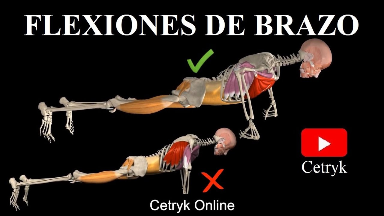 Flexiones de Brazos para Principiantes - Cetryk - YouTube