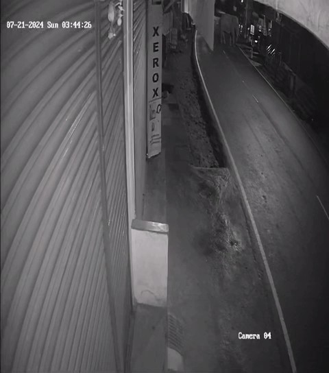 Elephant Devarshola Town cctv July 2024 - YouTube