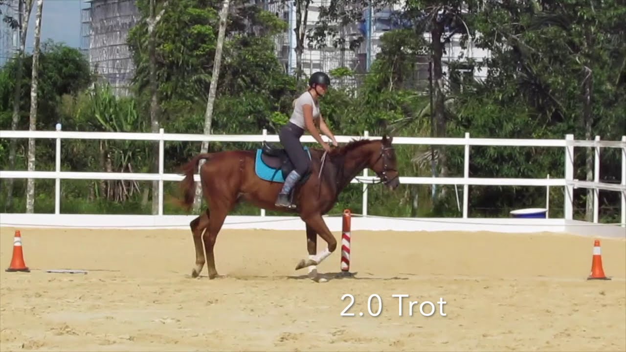 Different ways to ride the trot - YouTube