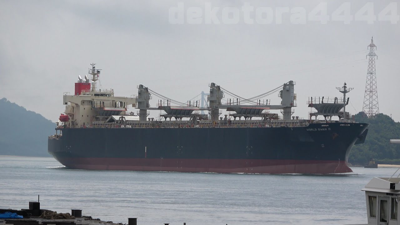 WORLD SWAN II - YouTube