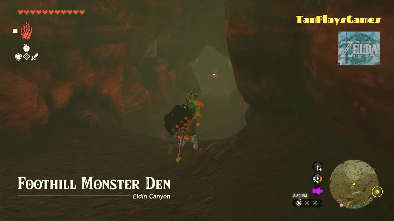 Foothill Monster Den BubbulFrog Location : Zelda Tears of The Kingdom ...