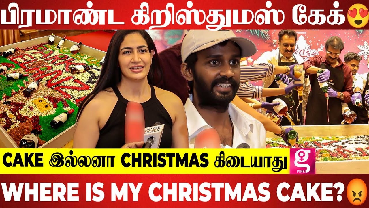 PARK ELANZA-ன்🍥 அசத்தலான Christmas Cake🎅 | CAKE MIXING FESTIVAL IN PARK ...