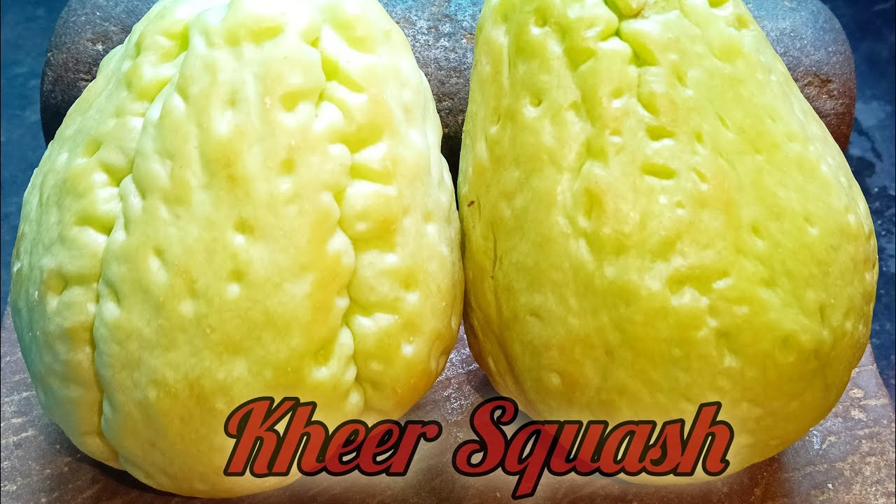 প্রথমবার ক্ষীরের স্কোয়াশ রেসিপি বানালাম/SQUASH Recipe/How to make a special new recipe kheer ...