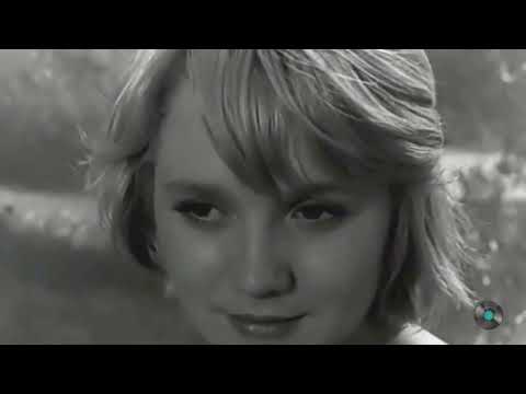 Песня для тех, кто ещё помнит советские дворы