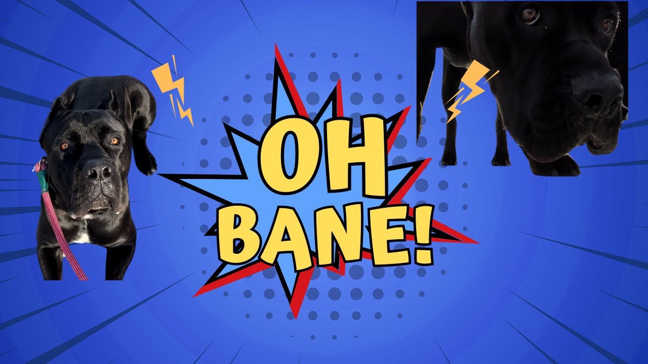 Day in the Life with Big Bane - YouTube