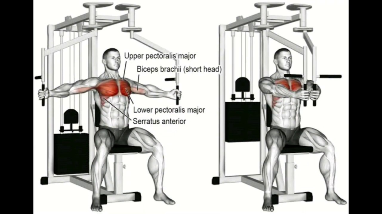 MACHINE PEC FLY - YouTube