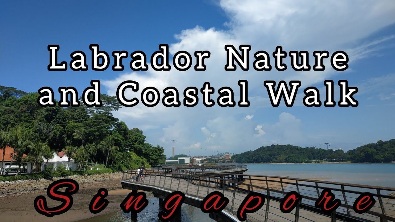 Amazing boardway/coastal board walk at Labrador nature Reserve(Labrador ...