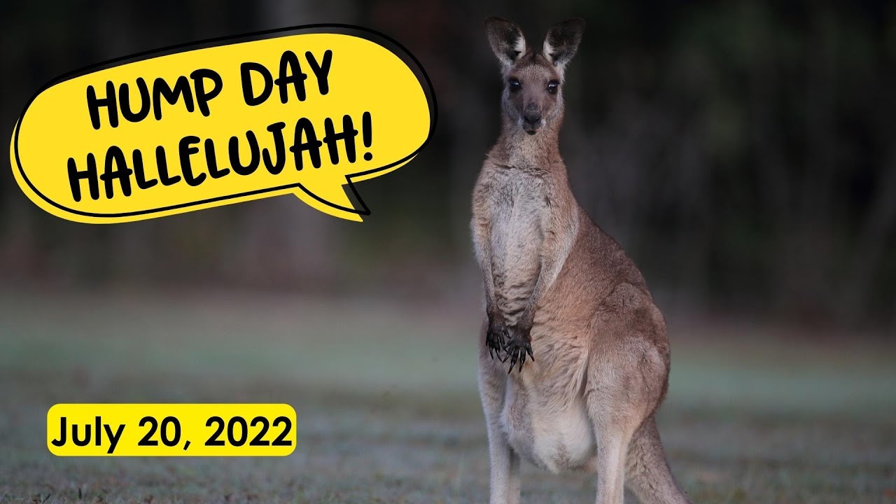 Hump Day Hallelujah! July 20, 2022 - YouTube