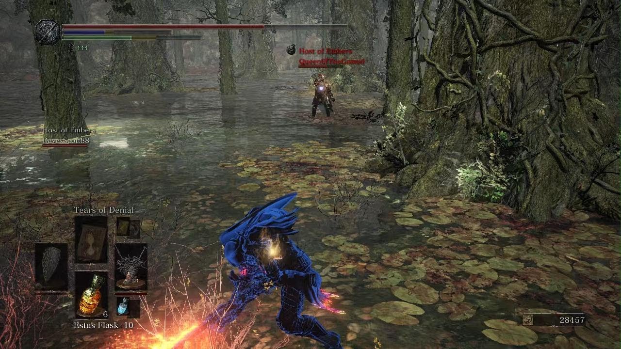 Dark Souls 3: Blue Sentinel Pvp - YouTube