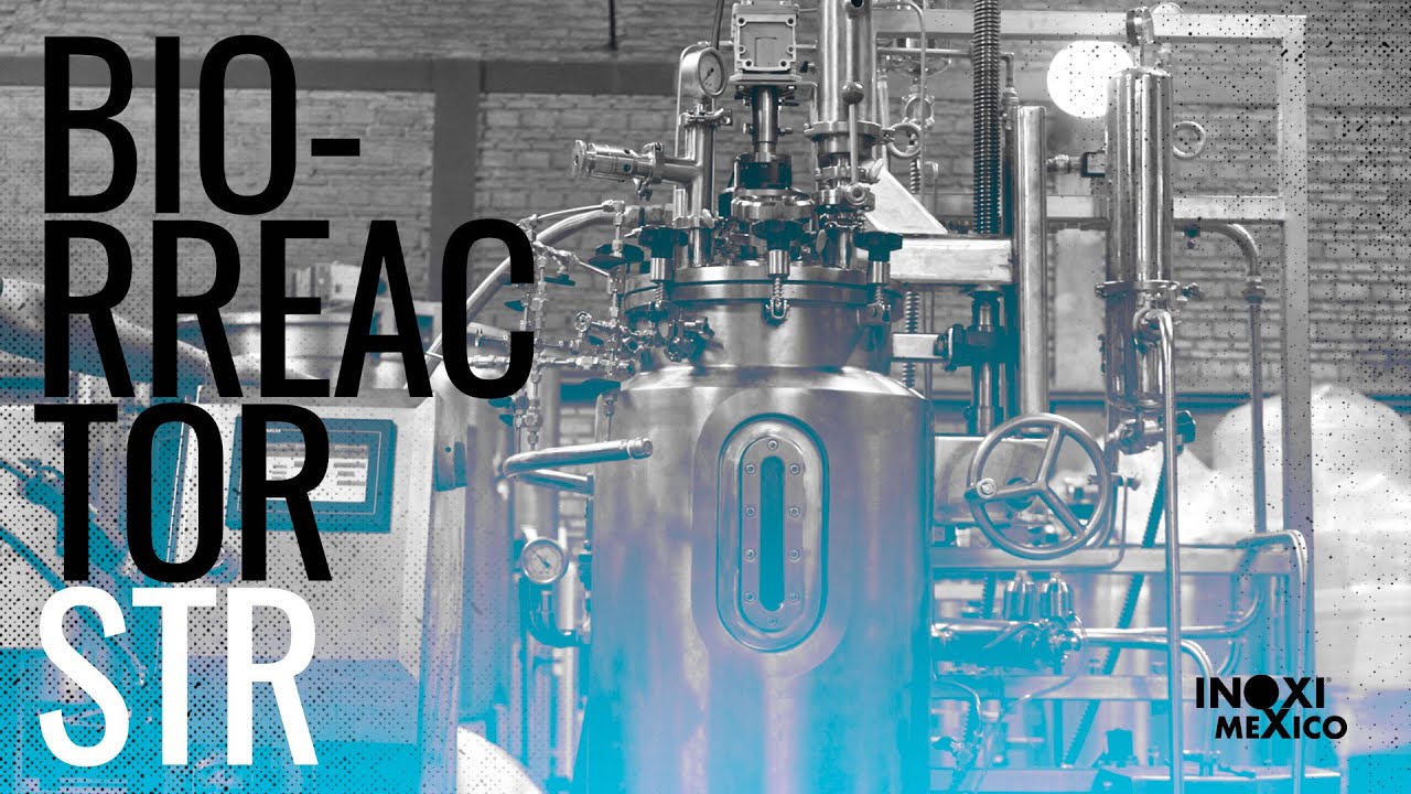 Biorreactor STR - Inoximexico - YouTube