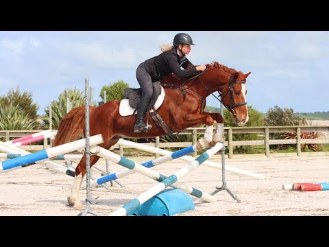 Harley jump schooling - first time doing a course - YouTube