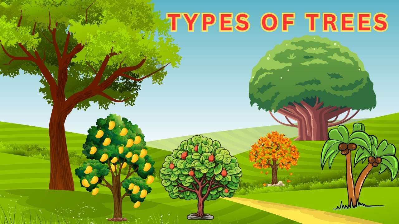 Learn Types of Trees for Kids and Toddler| #trees @RingRingKids # ...