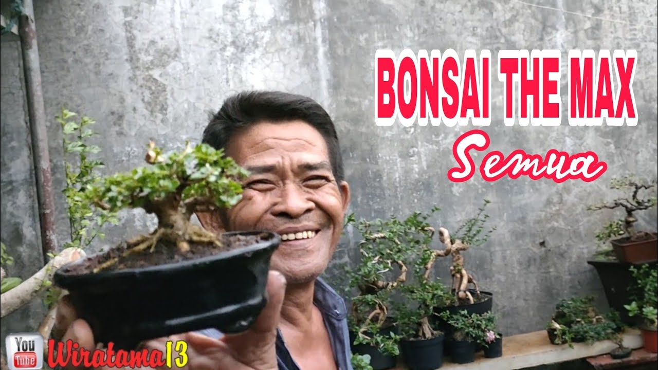 BONSAI THE MAX MBAH YO - YouTube