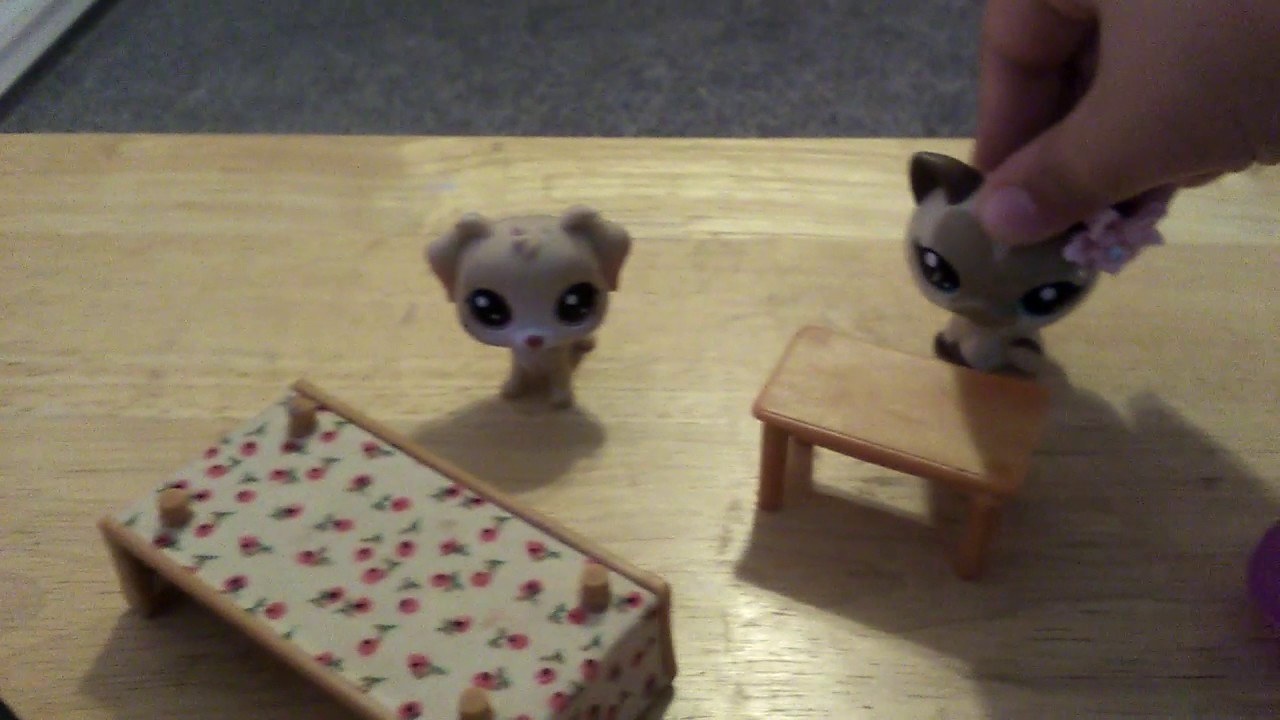 Lps a typical day at Pre-K - YouTube