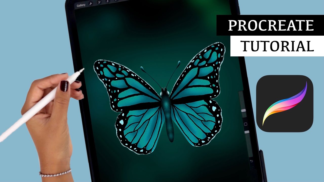 Butterfly drawing | You can draw this! | Procreate tutorial with iPad ...