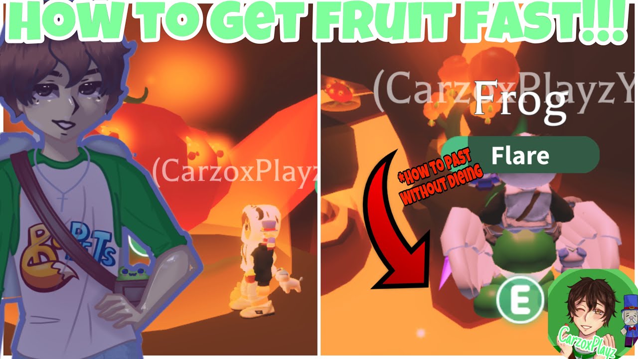😱How earn Fruits Fast in Adopt Me!!! Roblox 🐶 - YouTube