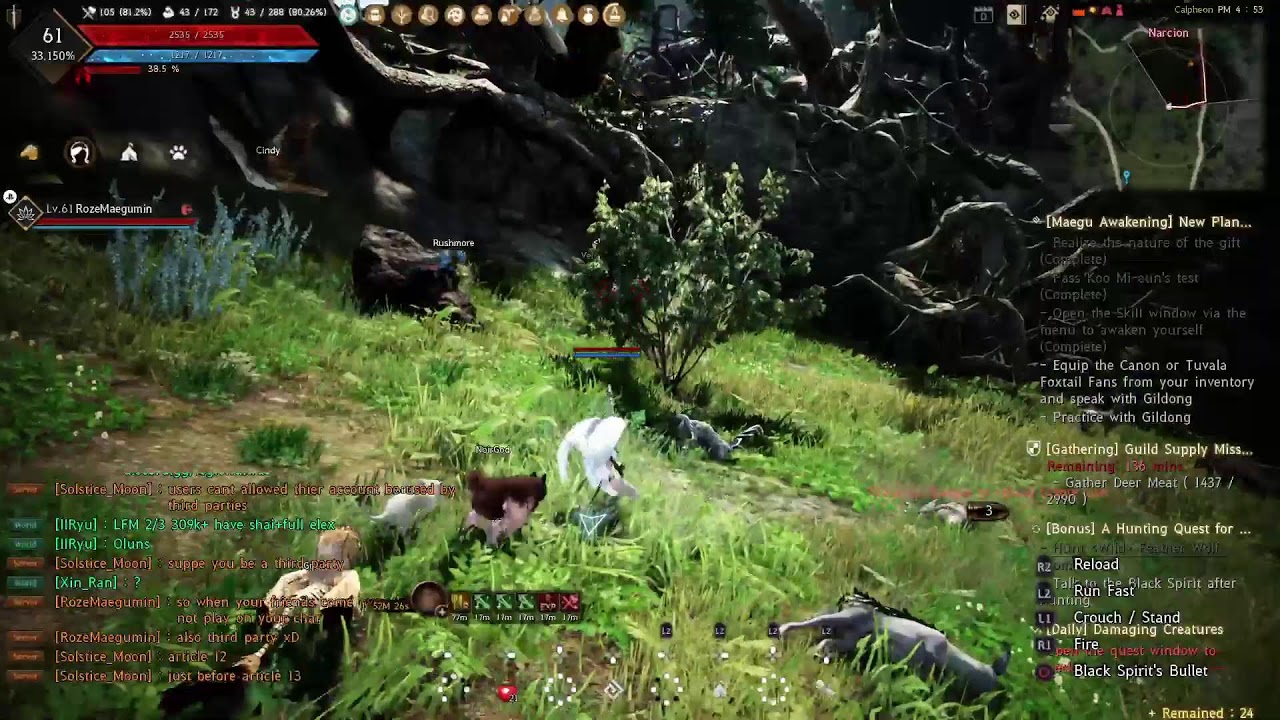 [104 Days Streaming] BDO Console: Hunting Feather Wolfs - YouTube