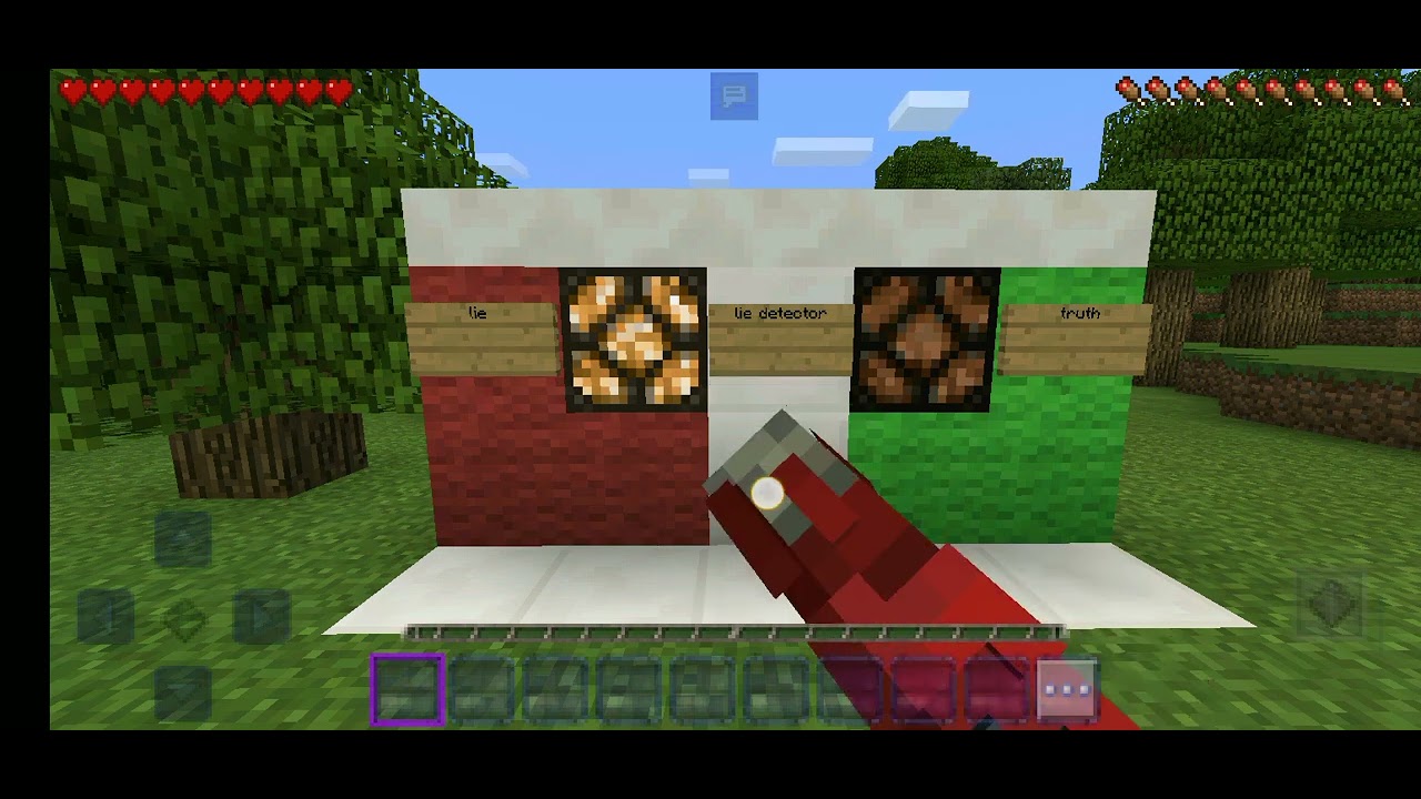 Lie Detector Testing || Minecraft - YouTube