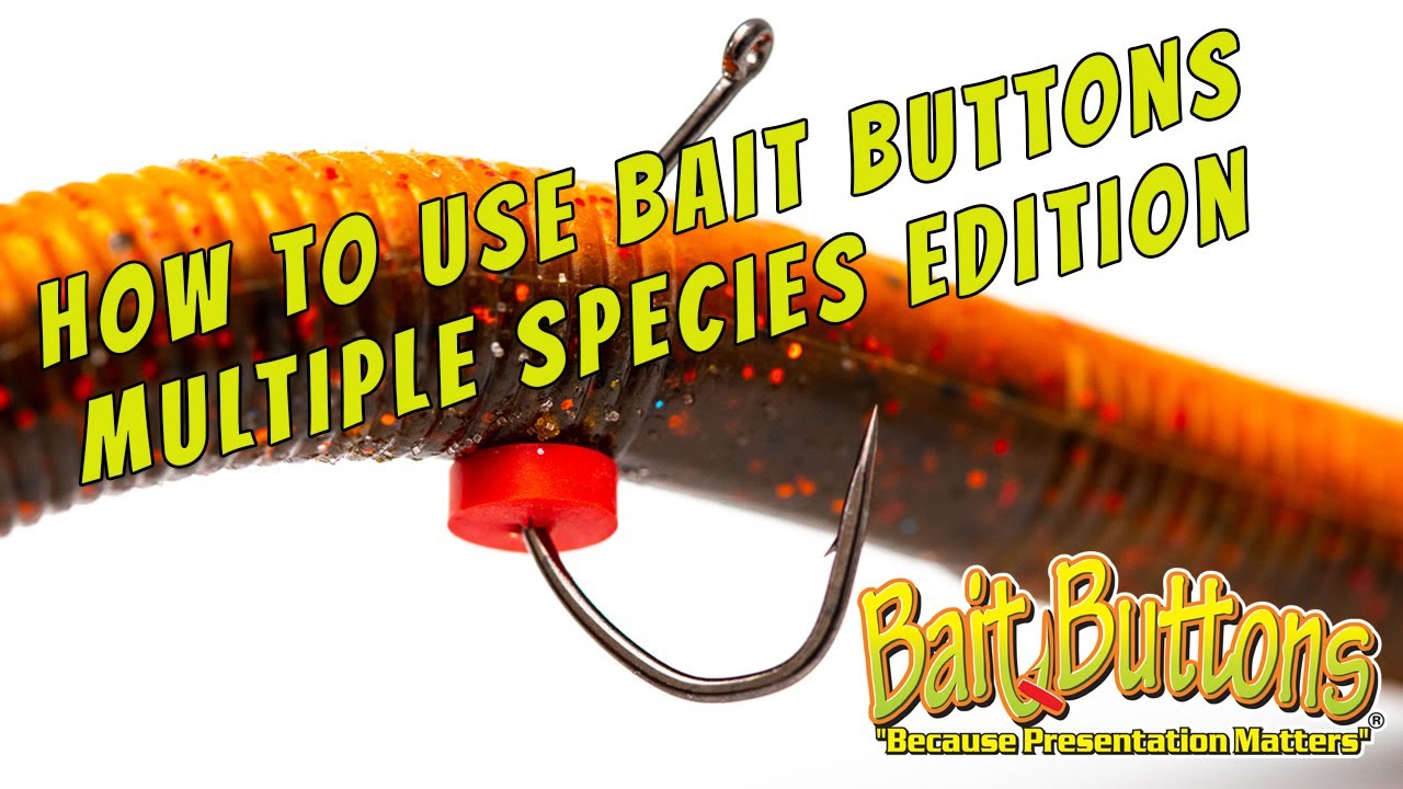 How to use Bait Buttons Multiple Species Edition - YouTube