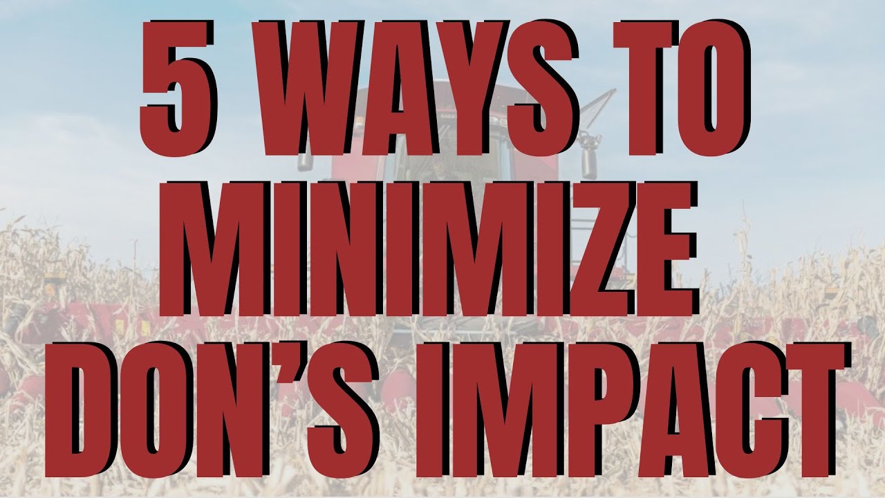 5 ways to minimize DON's impact on corn in the field, the bin, and ...