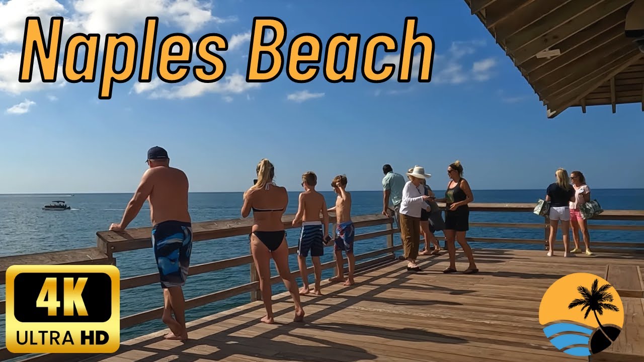 Naples Beach, Florida. A Big Shark! - YouTube