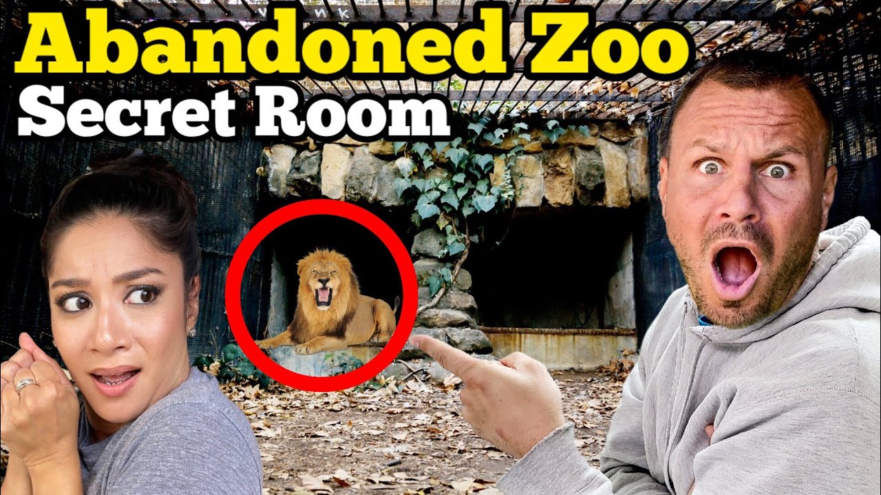 EXPLORING Secret ABANDONED ZOO - YouTube