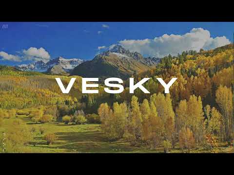This is vesky | vol. 17 | Chillstep & Future Garage mix
