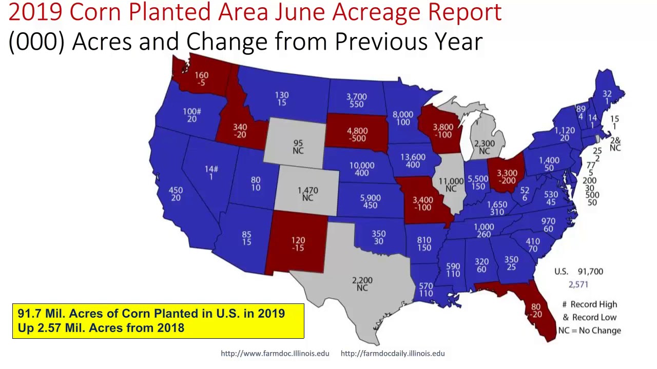 What s Going On With Corn Prices YouTube what-s-going-on-with-corn-prices-youtube