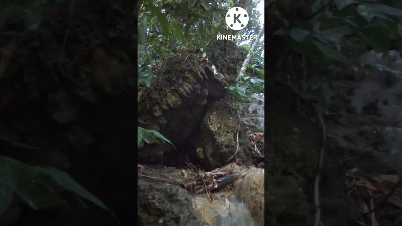 An Impressive Giant Turtle Rock near the Waterfalls. - YouTube