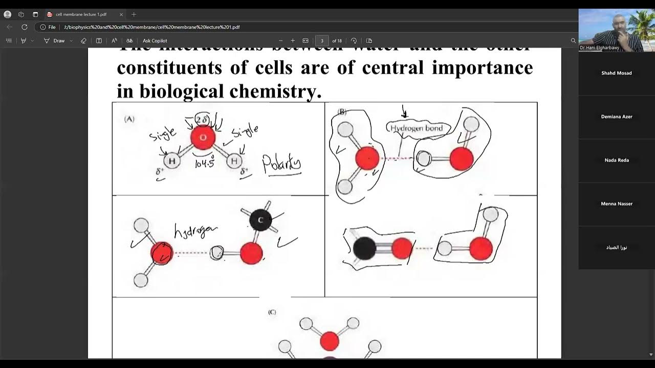 biophysics and cell membrane lecture 1 - YouTube