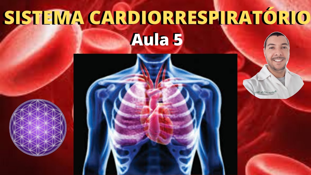 Sistema Cardiorrespiratório, Curso de Anatomia e Fisiologia para ...