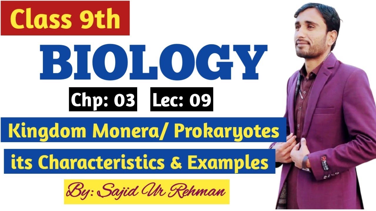 kingdom Monera/Prokaryotes || its Characteristics & Examples || 9th Bio ...