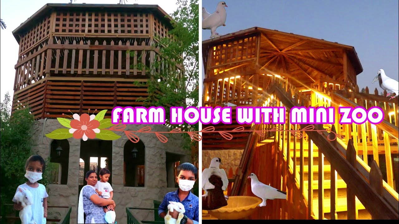Beautiful Farm House with Mini Zoo in Qatar | Pet Shop | Explore Qatar ...