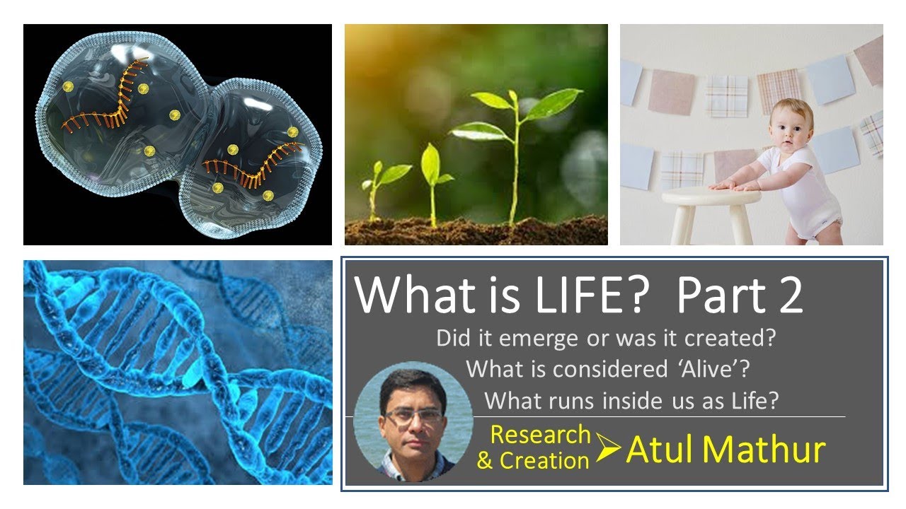 Ep#9 What is Life? Part 2. Back to Origin. - YouTube